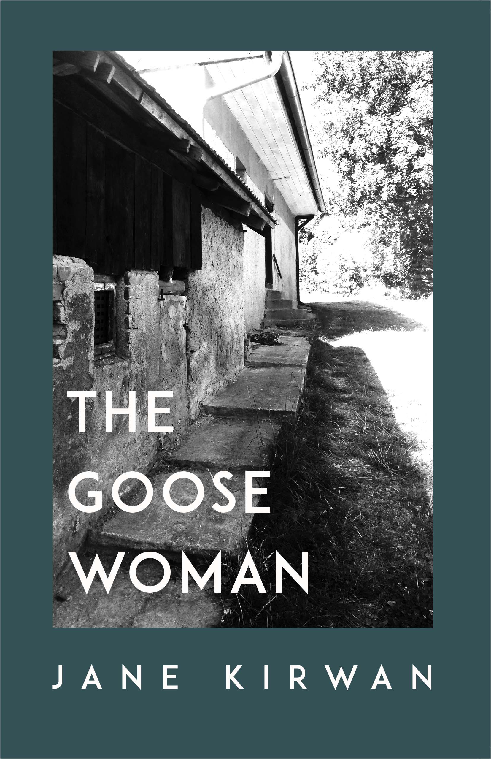 The Goose Woman – Blue Door Press